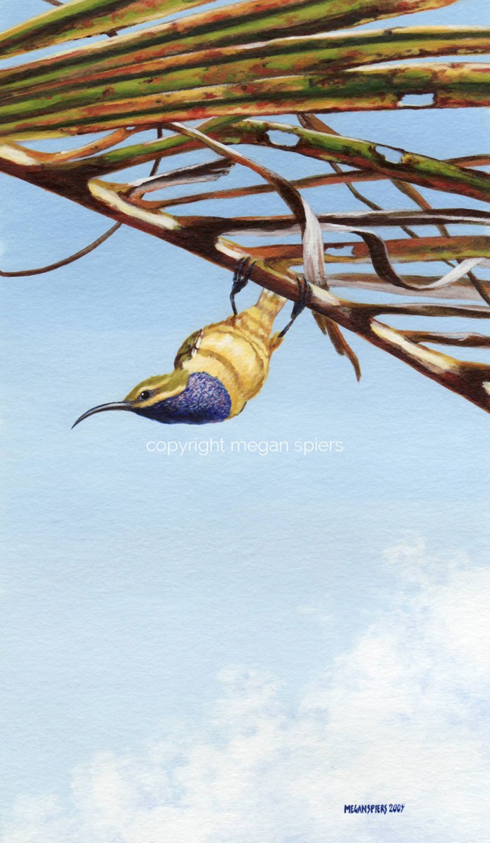 new perspective – Dr Megan Spiers